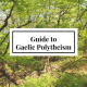 Dian Cecht – Guide to Gaelic Polytheism
