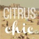 Citrus Chic