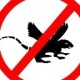 Paper Toy | Do Not Feed The Flying Rat