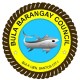 Cedula and Barangay Certifications | LGU – Barangay Bula, General ...