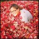 Wandering Bark Books | Literature, Books, Education, Humanities, and Life