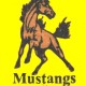 Michigan Mustangs 2017/2018 Indoor Track and Field Season Parent ...