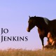 Elin’s world | Jo Jenkins