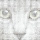 ASCII Tabelle | ASCII Bilder Facebook
