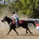 FarmTek Timers For Sale | The Barrel Racing Blog