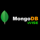 Javascript for your Data | MongoDB Wise