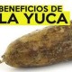 Carta nutricional – yuca – Yuca en Puerto Rico