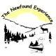 Events Calendar | The Newfound Experience