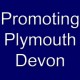 29 Commando Gunners | Promoting Plymouth