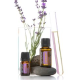 Fibromyalgia : Essential Oil Support | Living Essentials