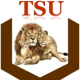 Our Services – T.S.U SECURITY SERVICES